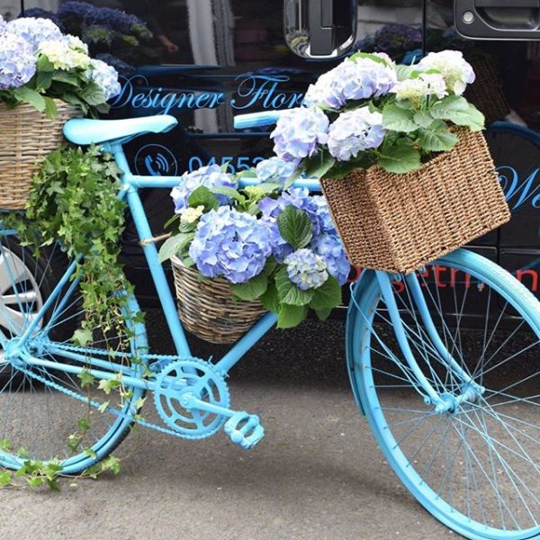 Forget Me Not Flowers – Flowers, Floral Arrangements and Bouquets